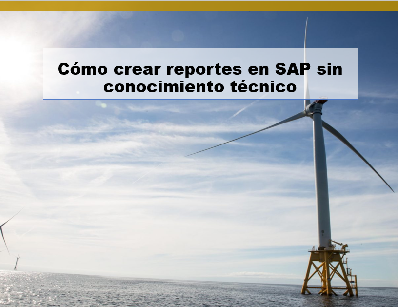 Cómo crear reportes en SAP sin conocimiento técnico - LogisticAI