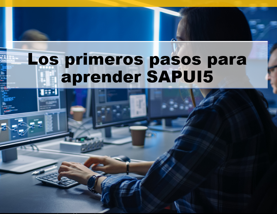 Los primeros pasos para aprender SAPUI5 - LogisticAI
